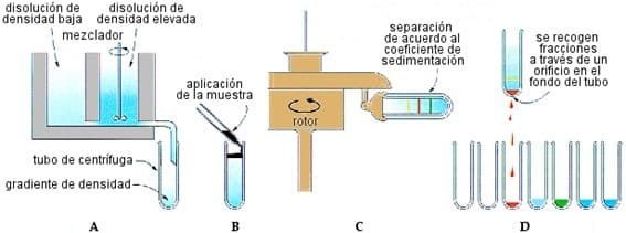 Centrifugación - MyM Instrumentos Técnicos
